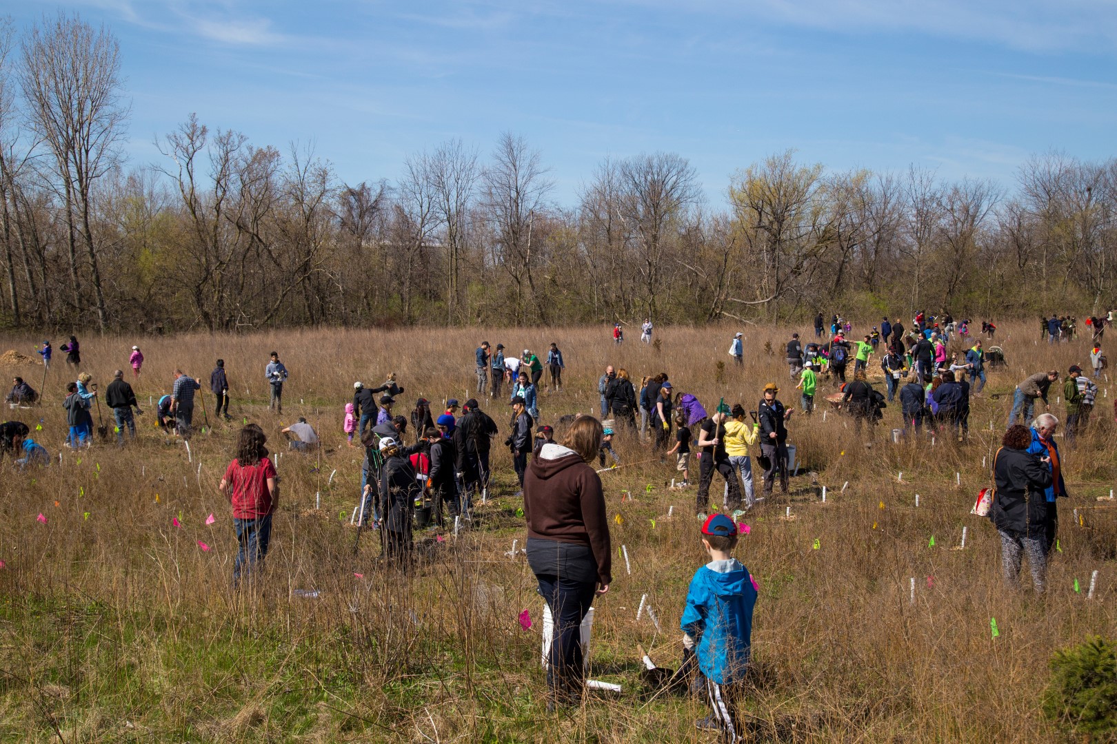 Calling all Green Teams for Earth Day Tree Planting | Detroit River ...