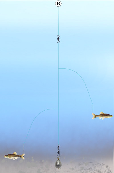 Learn to Fish the Detroit River | Detroit River Canadian Cleanup